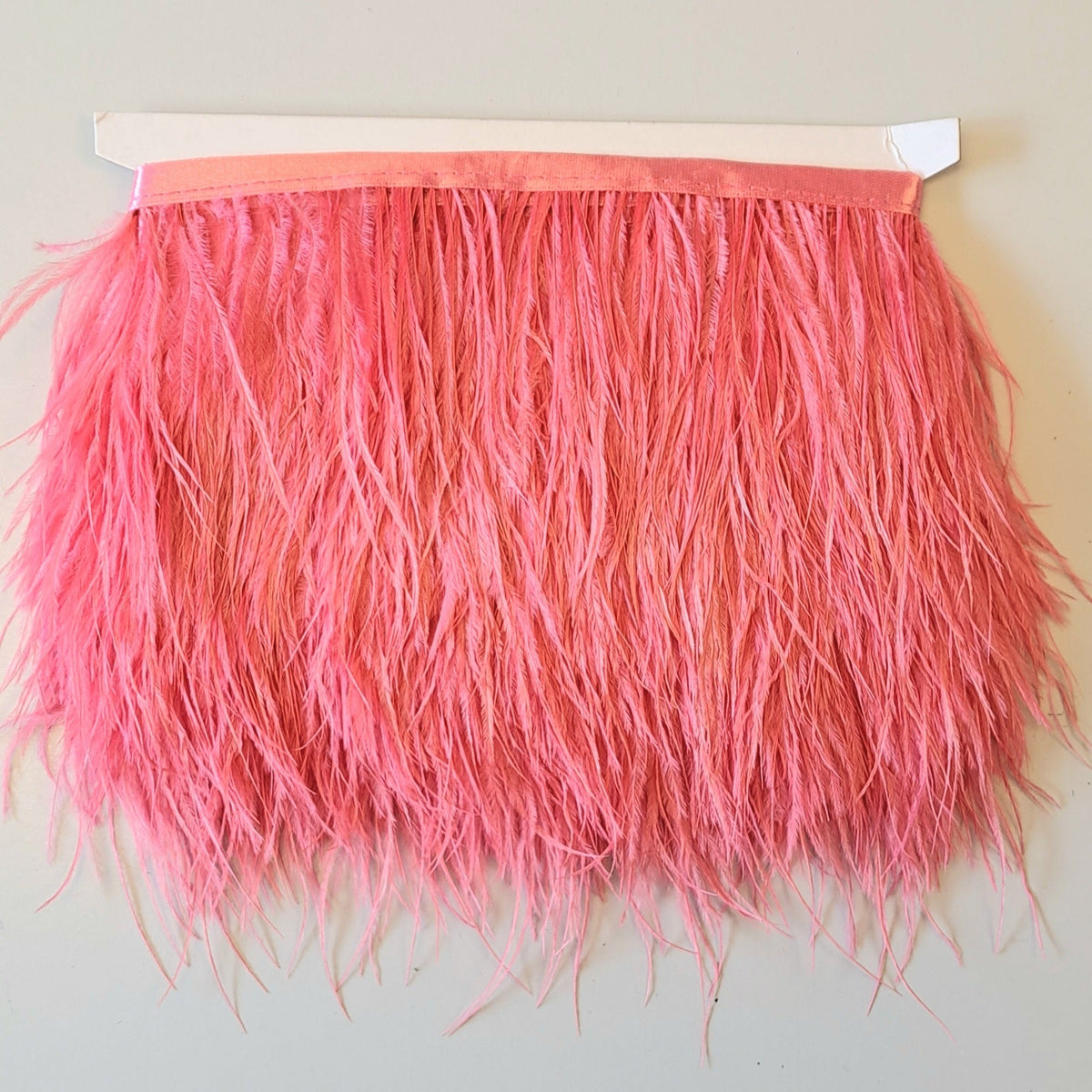 Ostrich Feather Trim - Coral | Fabric Focus Edinburgh – FabricFocus